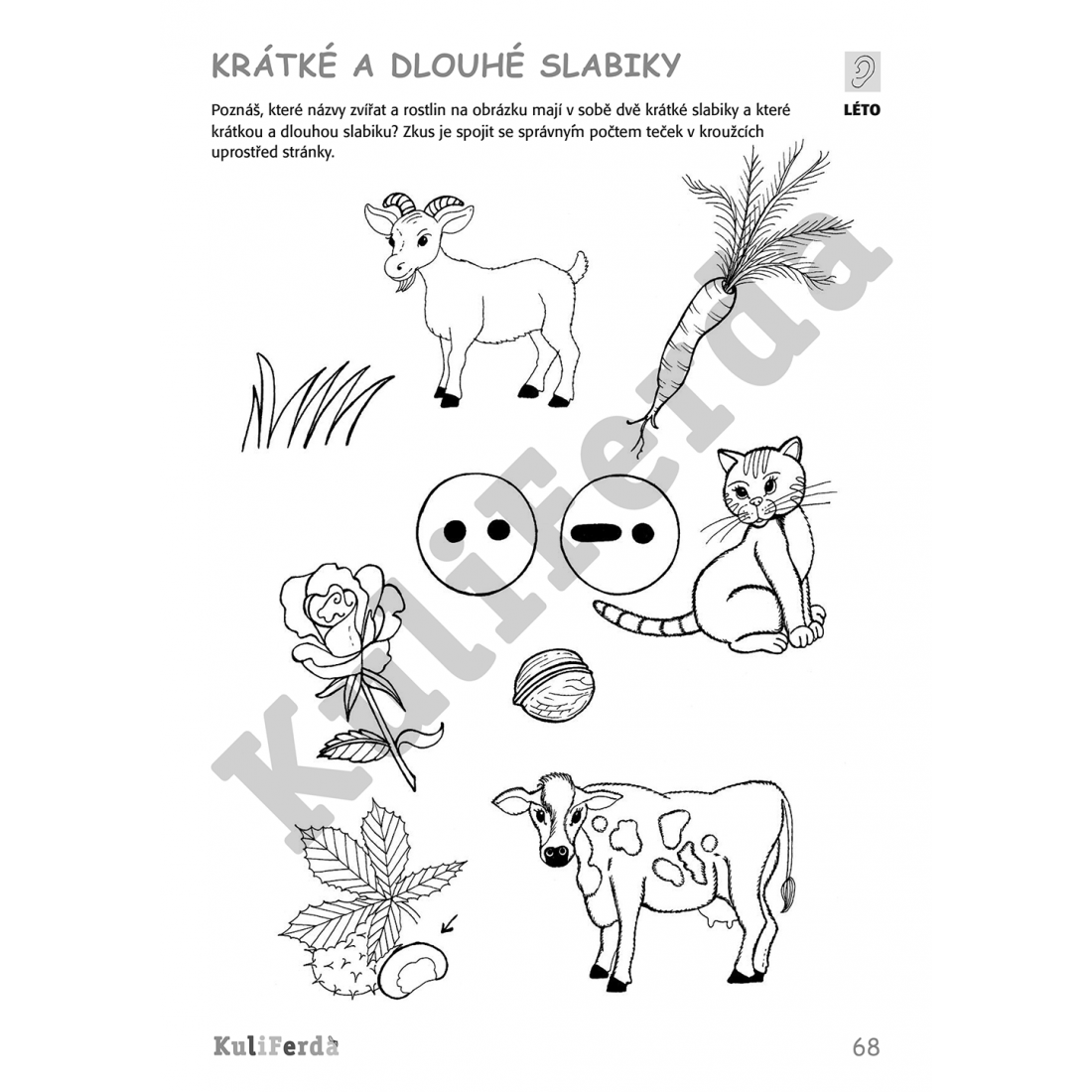 KuliFerda - Zrakové a sluchové vnímání